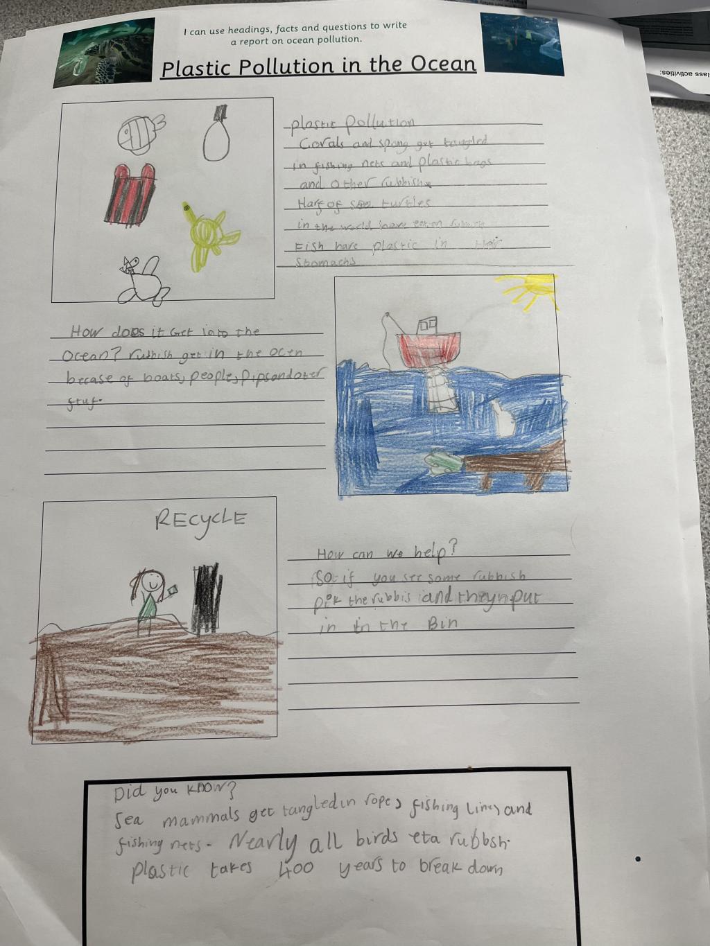 Report Writing on Plastic Pollution | Goldsborough CE Primary School
