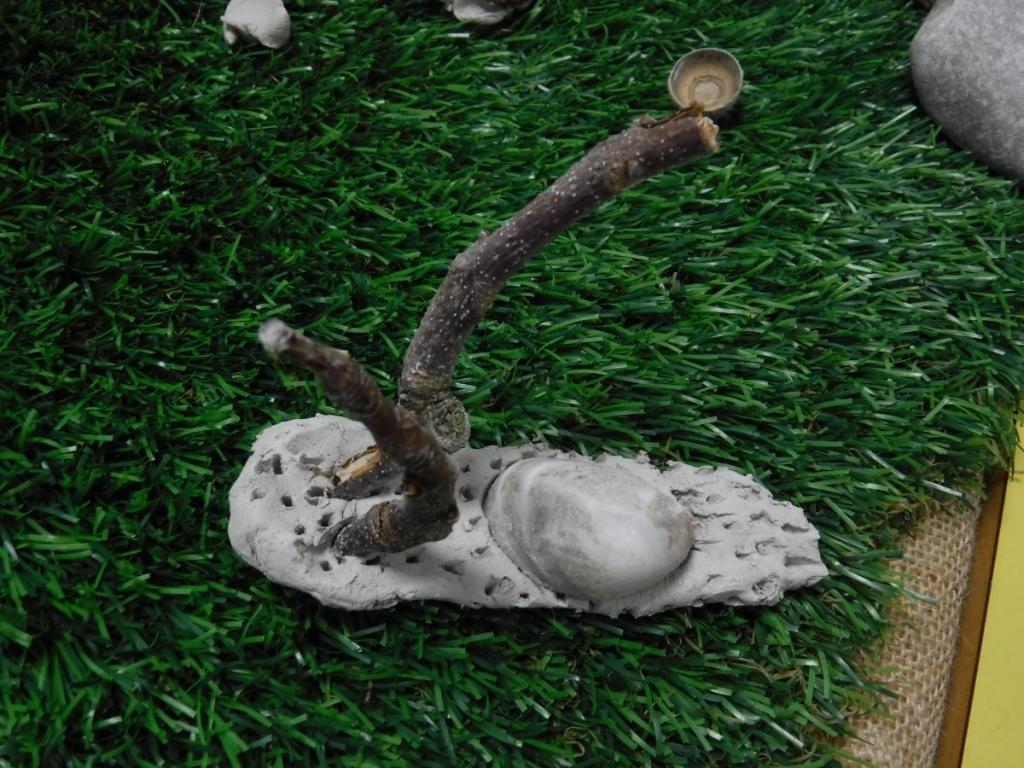 Clay Minibeasties | Goldsborough CE Primary School