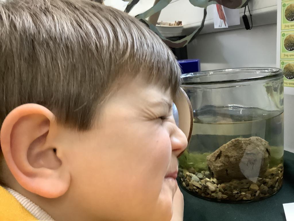 Tadpoles | Goldsborough CE Primary School