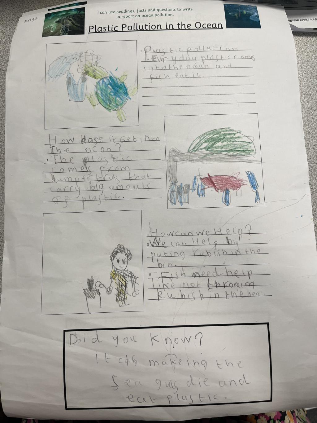 Report Writing on Plastic Pollution | Goldsborough CE Primary School